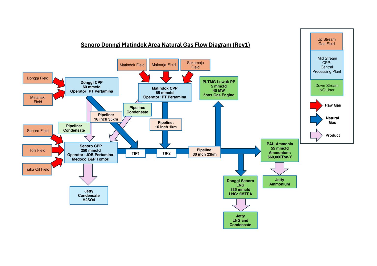 Senoro CPP Project: Indonesia Gas Development Analysis